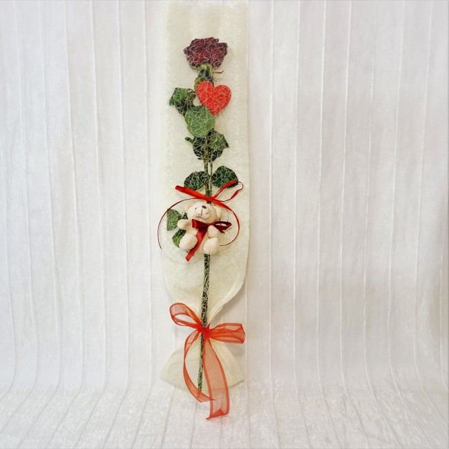 Teddy Rose! - Fiorista Della Santa